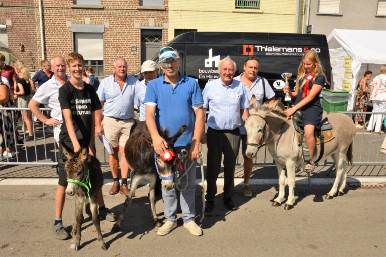 Van ezels en honden op de Reedijk – Goeiedag