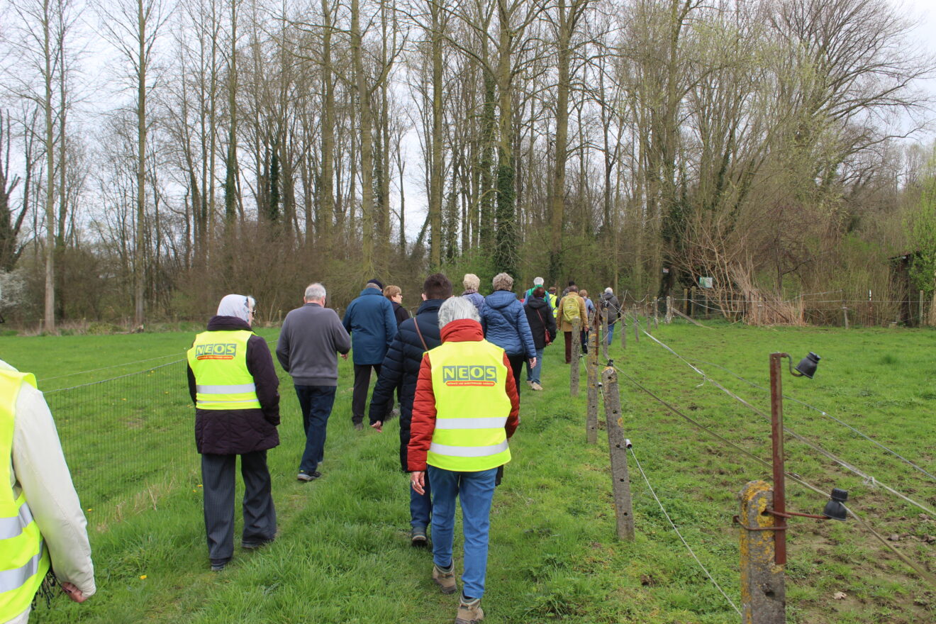 Neos Opwijk met waaier aan activiteiten – Goeiedag