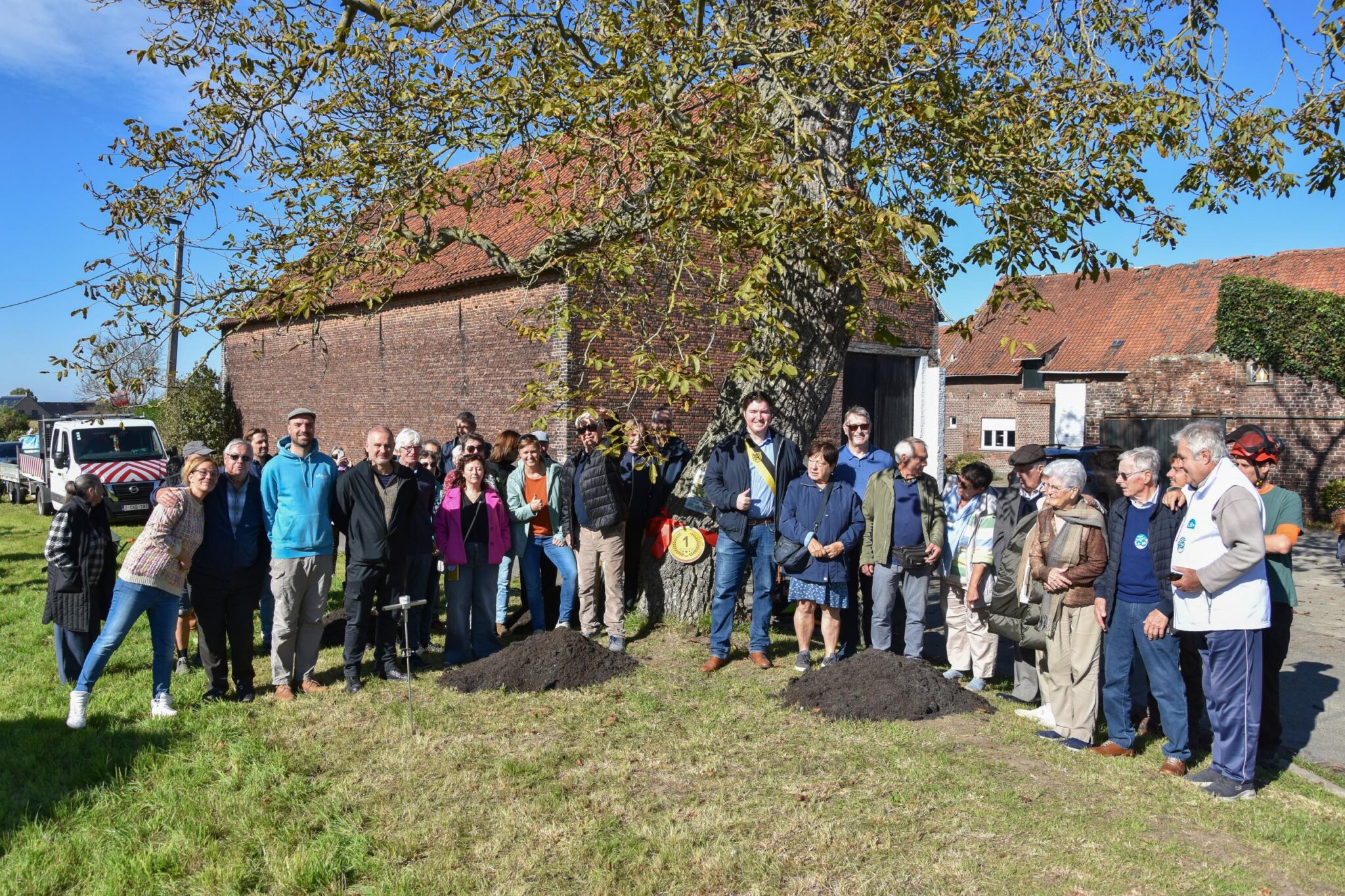 Notelaar is mooiste boom van Meise – Goeiedag