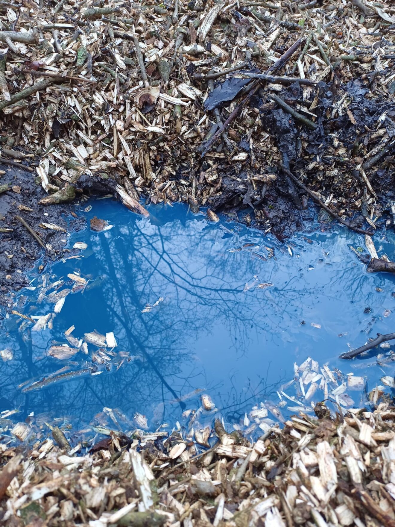 Beek in Asbeek kleurt plots blauw – Goeiedag